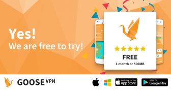 Goose VPN Review & Test 2020 - Keep This in Mind Before Buying