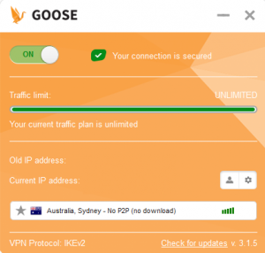 Goose VPN Review & Test 2020 - Keep This in Mind Before Buying