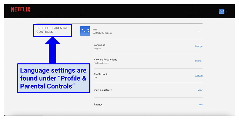 How to Get Netflix Subtitles in Just About Any Language (2024)